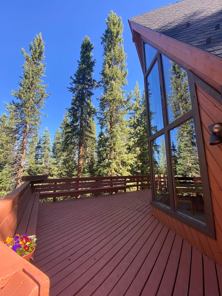 Cozy Breckenridge Chalet With Hot Tub - Breckenridge, CO