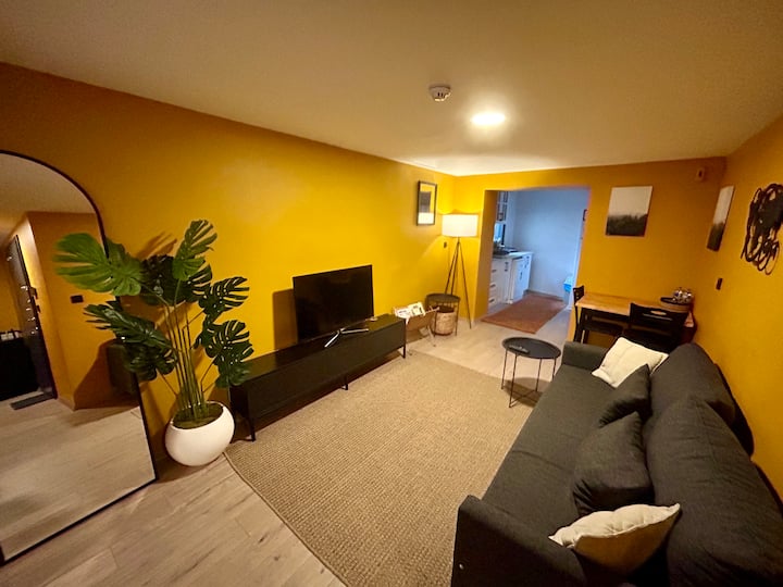 Merkezde Modern, ŞıK, Konforlu Ve Yenilenmiş - Istanbul