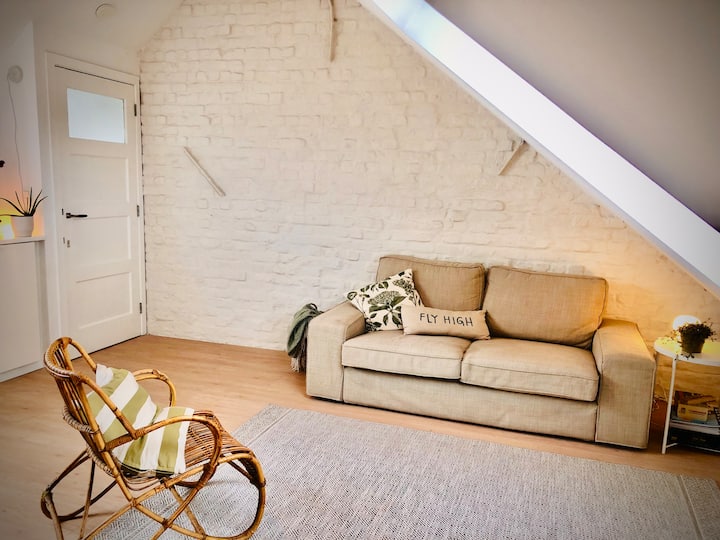 Free Bikes + Romantic Room Near Center - Gand