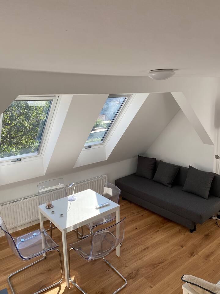 Dachwohnung Im Villenviertel - Bregenz