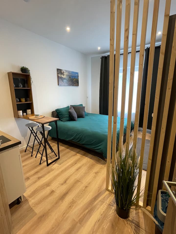 Studios Tres Chaleureux - Roubaix