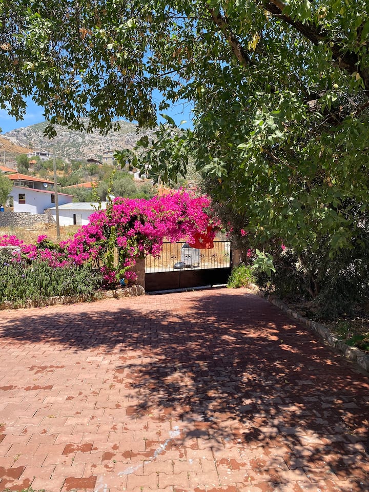 Söğüt Atlas House - Selimiye