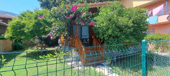 Cirali_tekne_turu_kemalkaptan1 - Çıralı