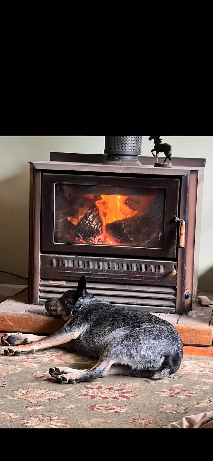Pet Friendly Sea Breeze Country Retreat - Koroit