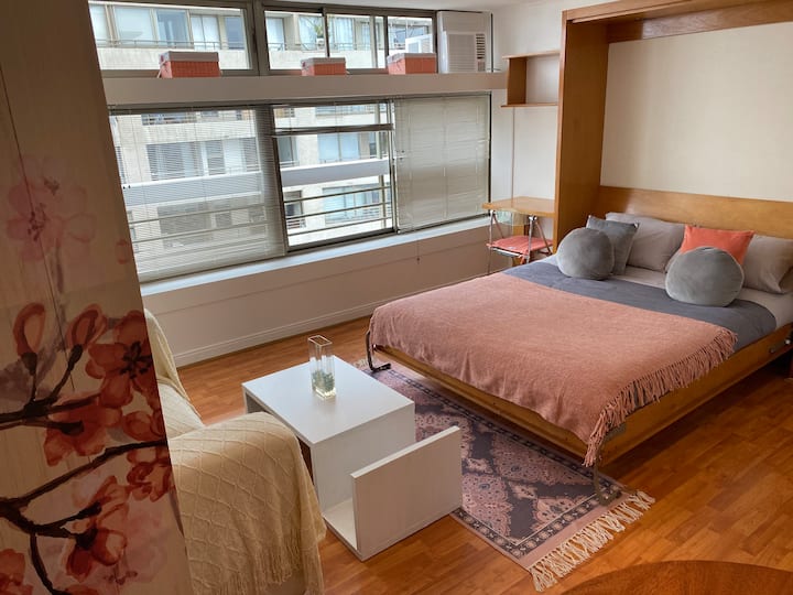 Beau Studio Avec Piscine. - Las Condes