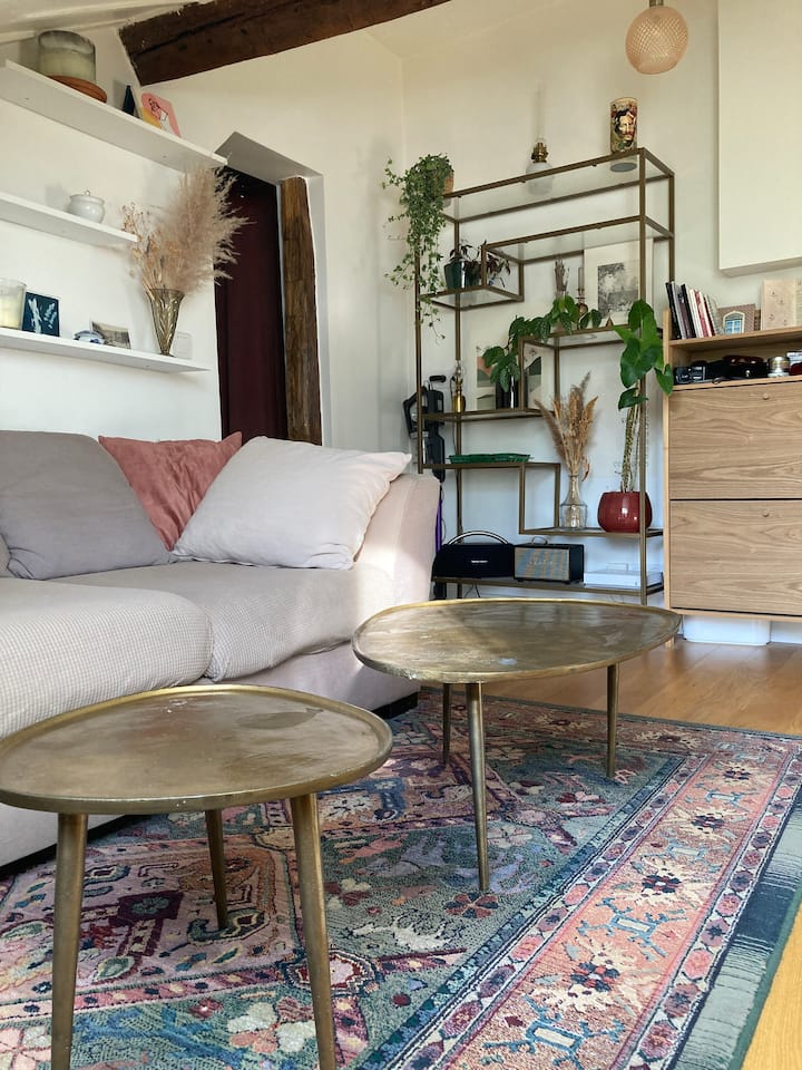 Romantic Parisian Appartment - Paris