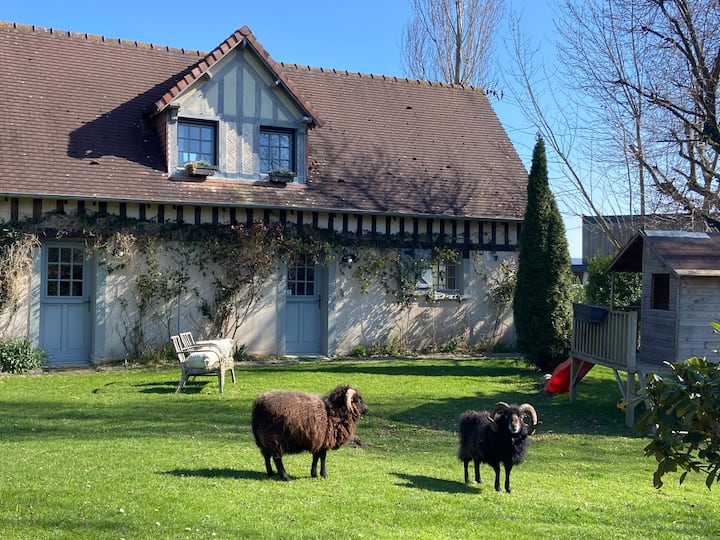 Joli Gîte Dans éCrin De Verdure - Pont-l'Évêque