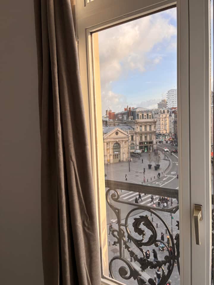 Apparemment Plein Centre De Lille - 裡爾