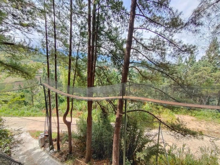 Family Retreat Or Group Stay -