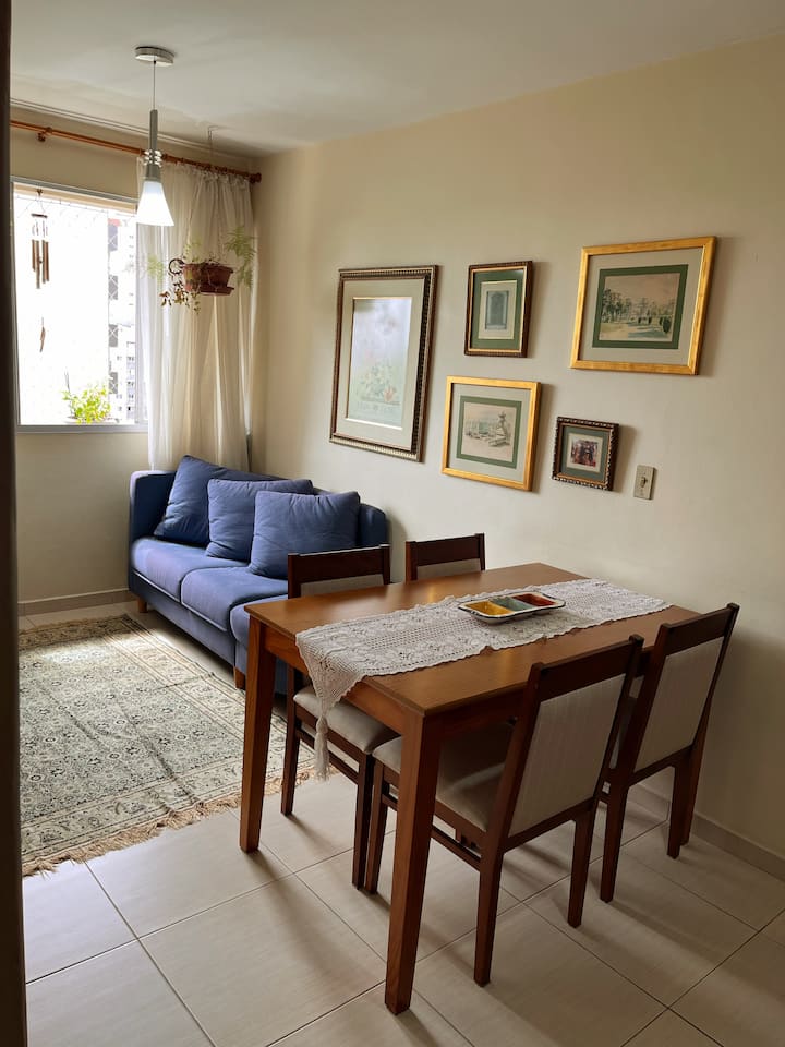 Apto Com Plantas E Arte | Curitiba A Pé Ou De Bike - Curitiba