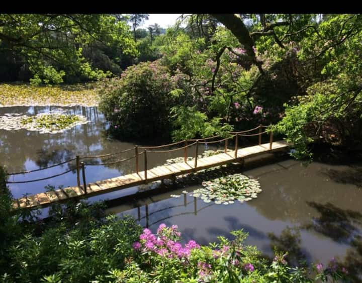 Island Retreat - Bovey Tracey