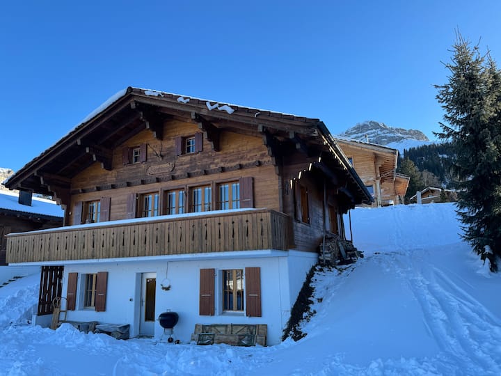 Gemütliches Apartment Am Berg - Brienz