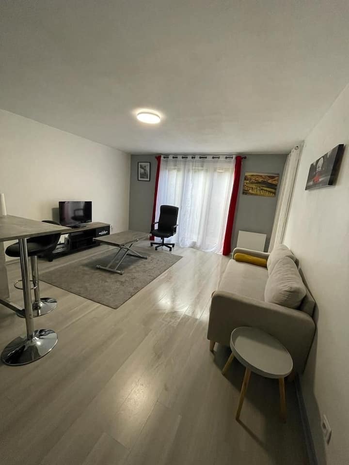 Charmant T2 à La Frontière Suisse –Terrasse & Wifi - Gex