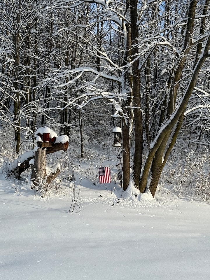 Ski Season Is In Full Swing! - Lake Wisconsin