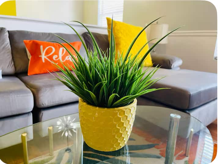 Home Away From Home- Tropical Oasis - Lithonia, GA