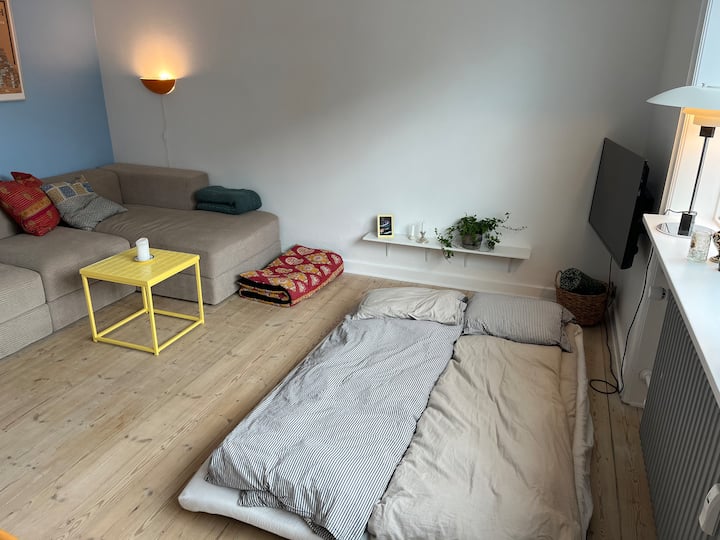 Cozy Copenhagen Based Apartment - Copenhaguen