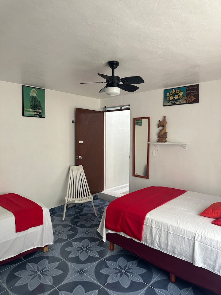 Matrimonial + Individual Centro Cerca De Todo - Cancún