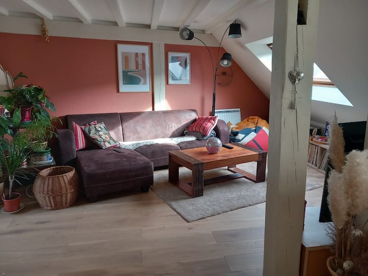 Chambre Dans Charmant Appartement Proche Gare - Strasbourg