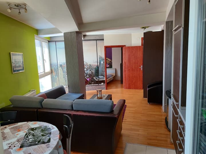The Charming Apartment - 尼斯