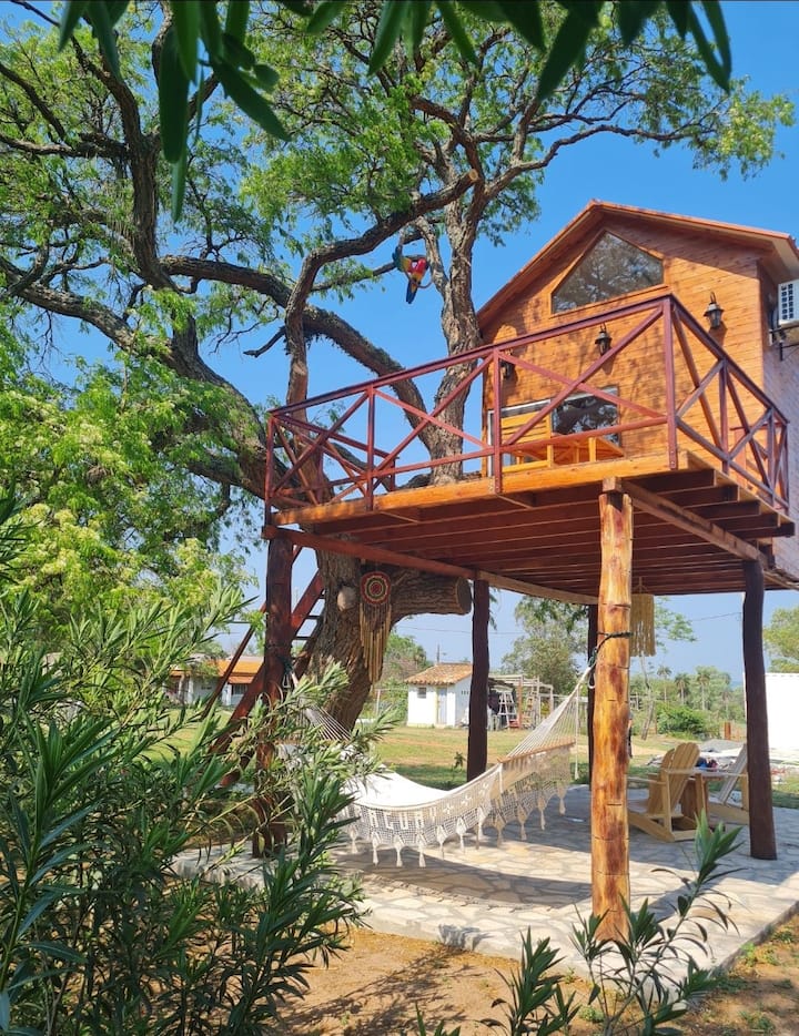 Haasienda - Papagei Nest - Ypacaraí