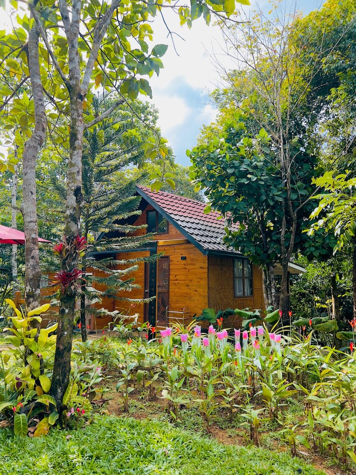 Quiet Lakeside Hideaway|comfy Cabin Stay For 6 Pax - Cavinti