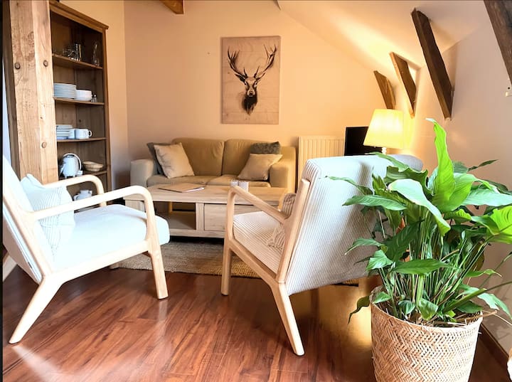 Gîte Près Du Massif Du Sancy - Puy-de-Dôme