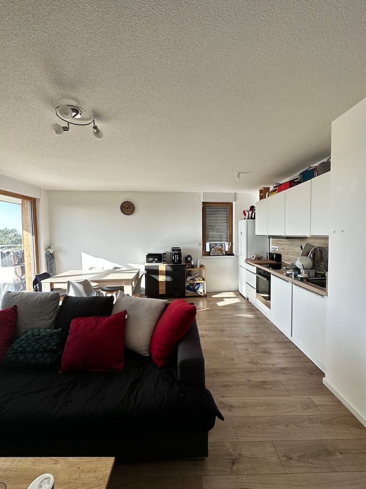 Appartement à 10' De Strasbourg - Ostwald