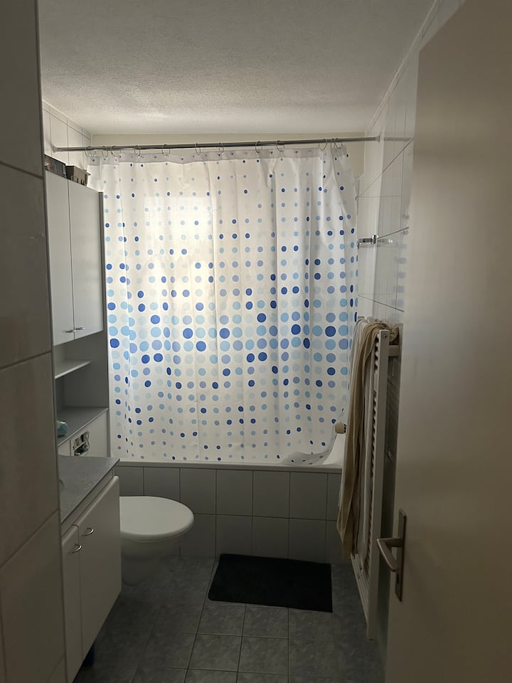 1 Zimmer Wohnung - Lucerne