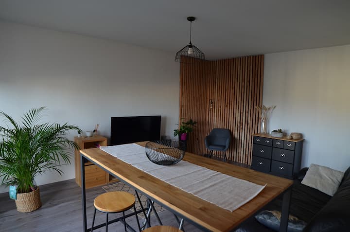 T3 Proche De Bordeaux Lac - Blanquefort