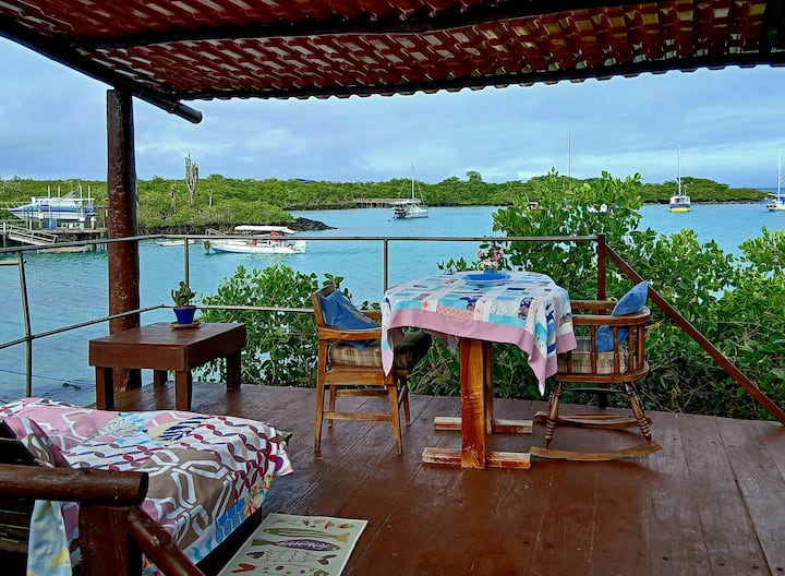 Tree House In The Mangrove - Galápagos Islands