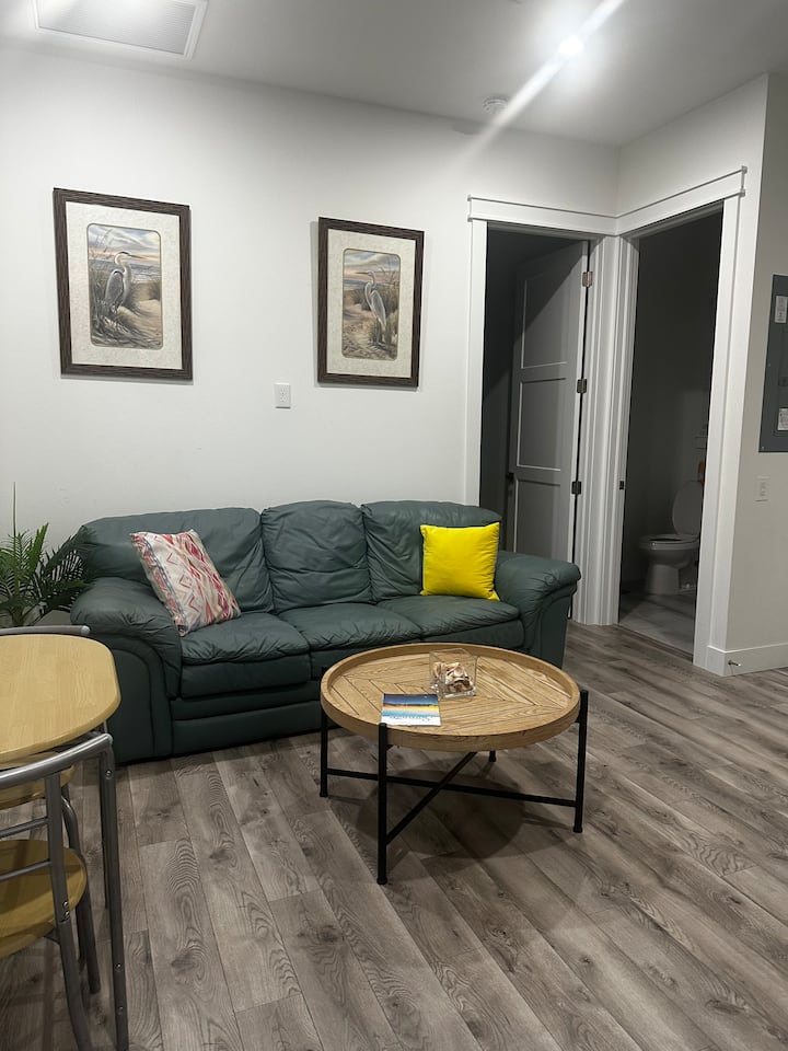 Downtown New Construction House - Sarasota, FL