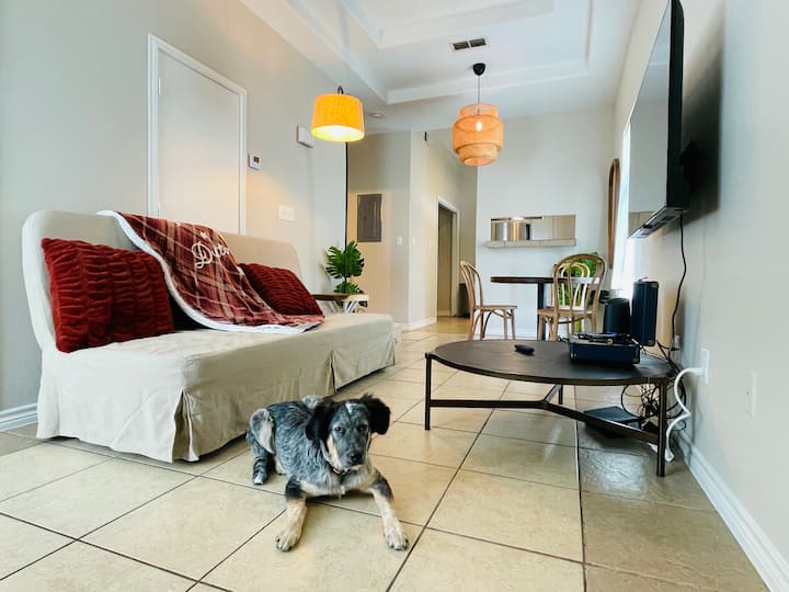 Pet Friendly Suite • 1min Away Target, Heb, Starbx - Laredo, TX