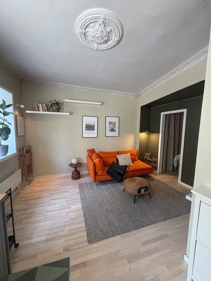 Koselig Leilighet På Kampen. - Oslo