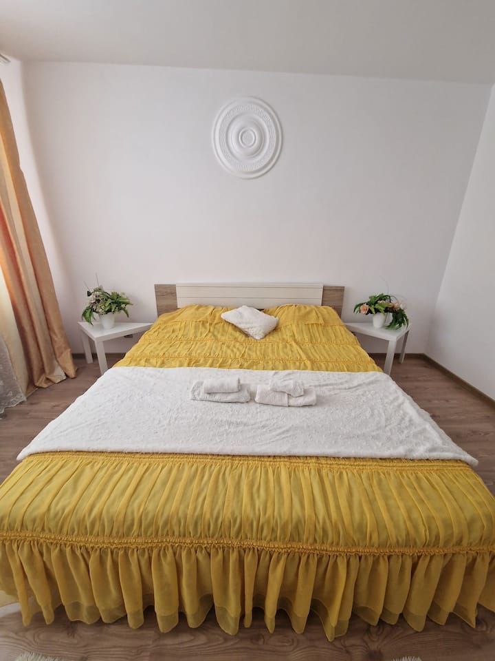 Apartament Central Gara Craiova - Craiova
