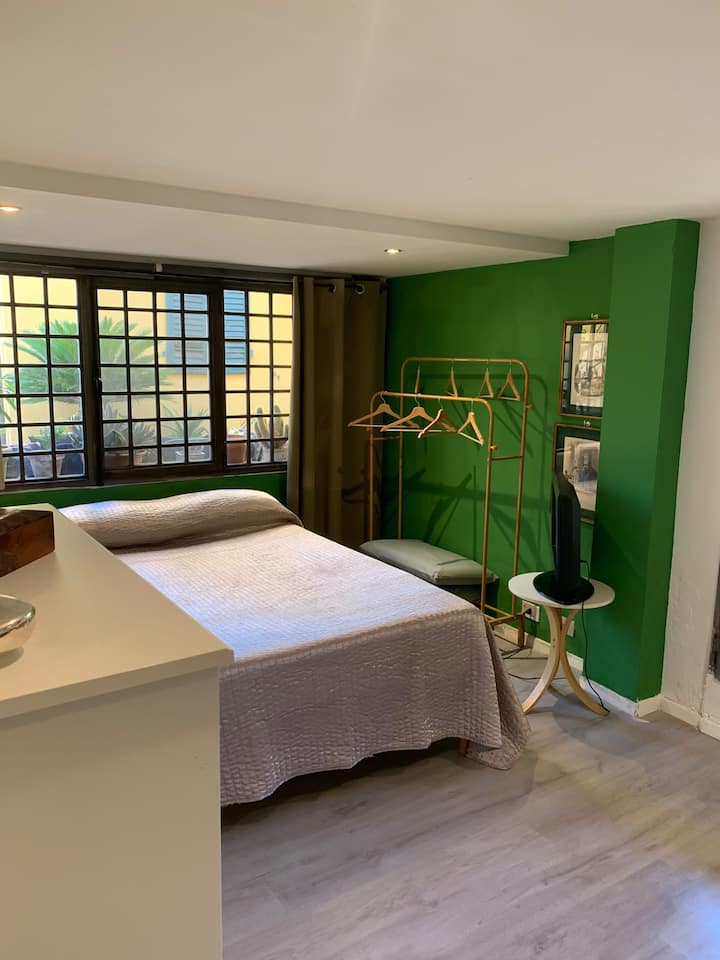 Casina 43 - Pisa