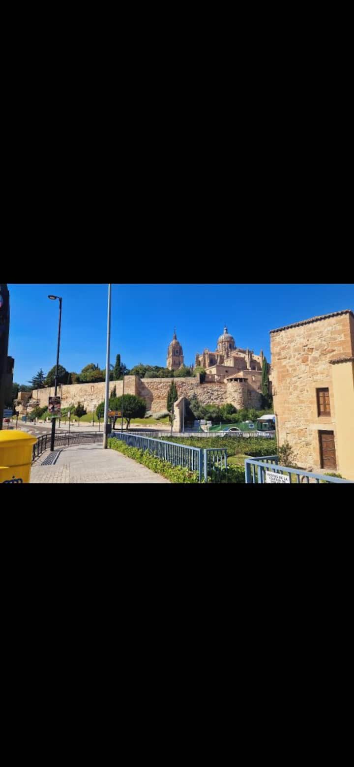 Piso Céntrico,habitación Con Vista A La Calle - Salamanca