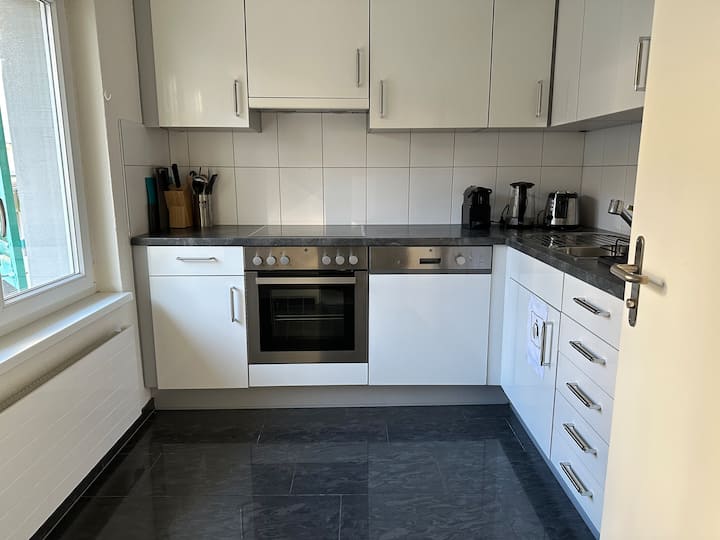 Big Family Apartment In The City - Lucerne