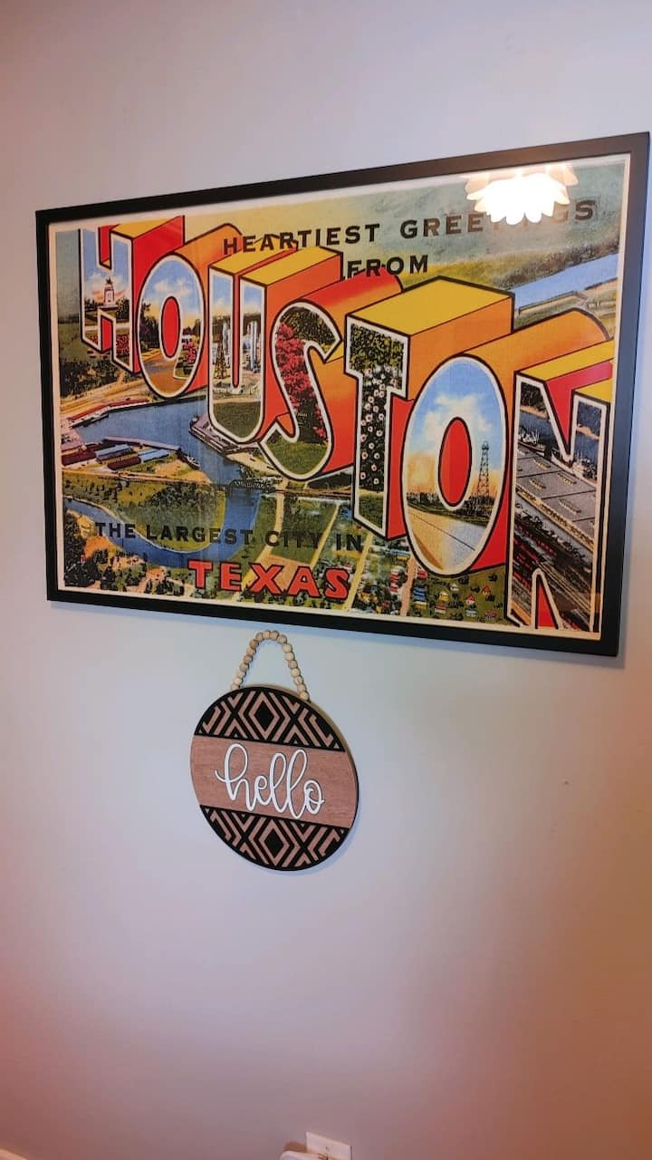 Mid-century Modern Nights Dream - Bellaire, TX