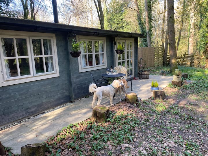 Cosy Woodland Cabin - Crawley