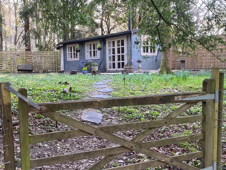 Woodland Cabin - Crawley