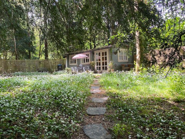 Bluebell Bothy

Country Cabin In Woodland Setting - Crawley
