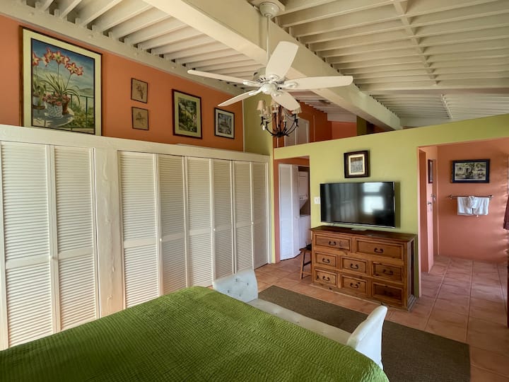 Abi Villa - Saint Thomas