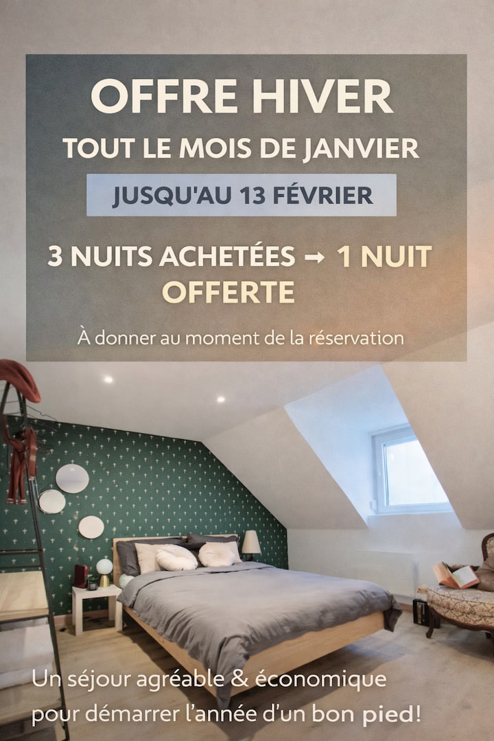 【L'élémentaire】,chic Et Central - Mulhouse