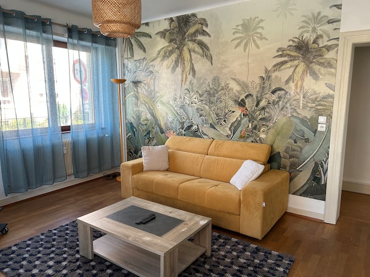 Appartement - Vieux Schiltigheim - Robertsau