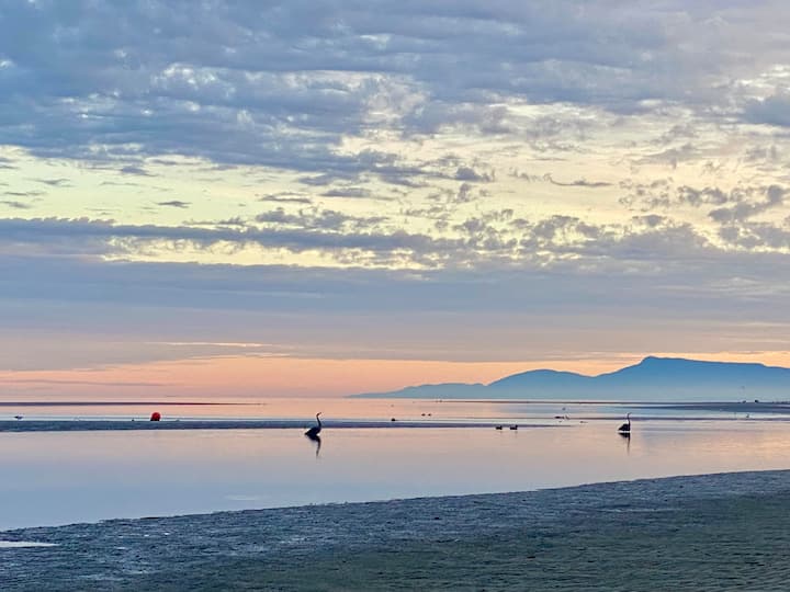 Beachside Living. Pet Ok. 1 Block From The Beach! - Tsawwassen