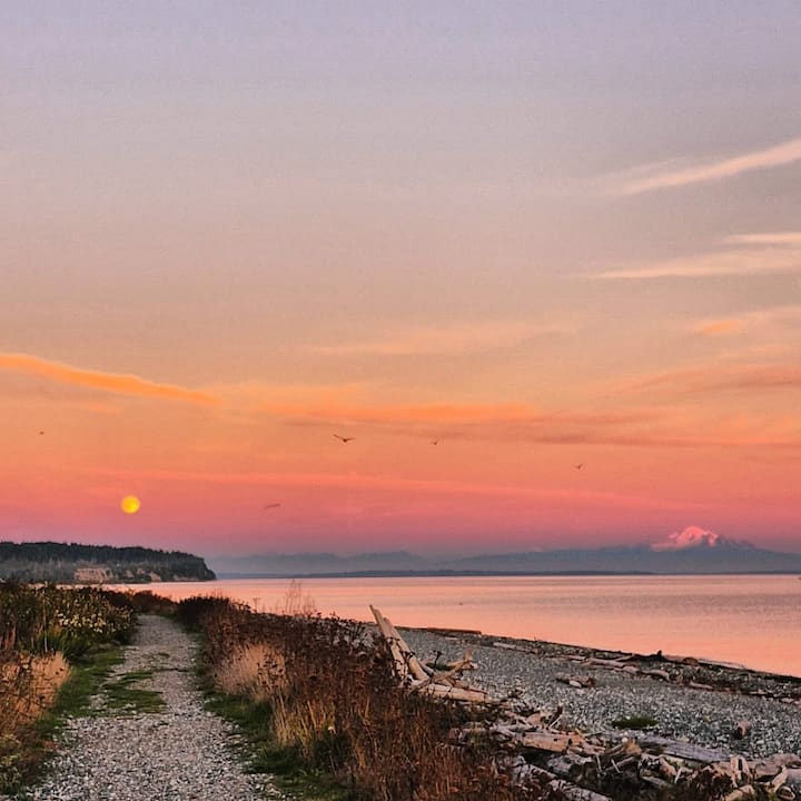 Beachside Living. Pet Ok. 1 Block From The Beach! - Point Roberts, WA