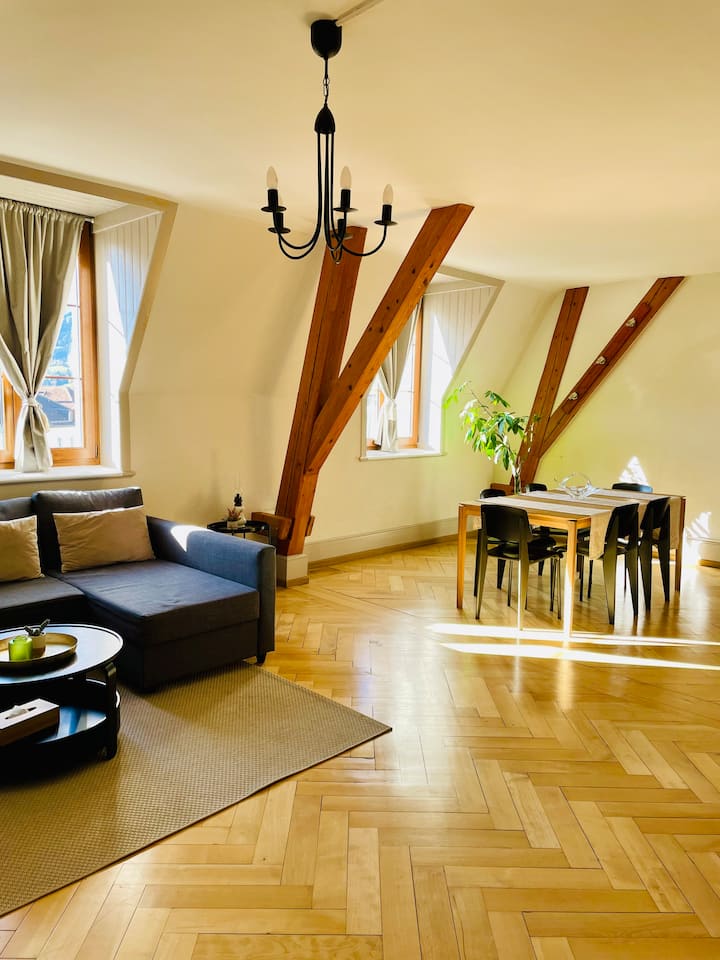 Vue Panoramique Montagnes Et Château - Switzerland