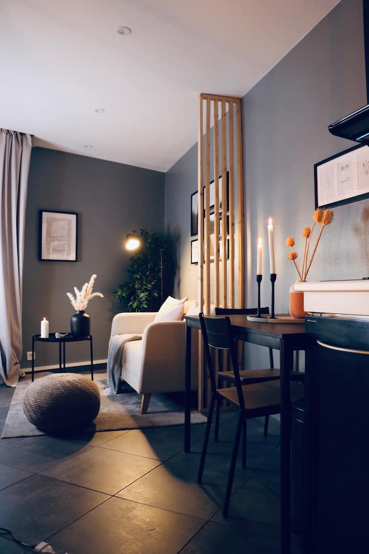 Séduisant Studio Au Cœur D’annemasse - Annemasse
