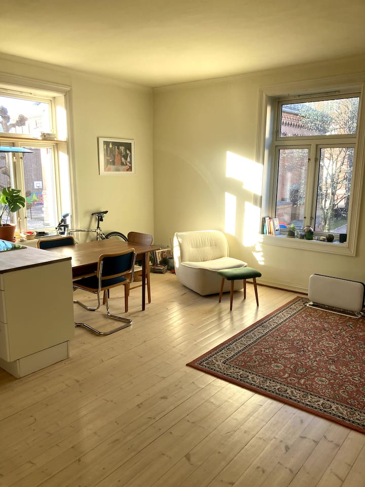 Koselig & Urban Leilighet Ved Botanisk Hage - Oslo