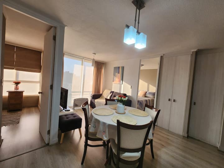 Acogedor Departamento En Centro De Santiago. - Santiago